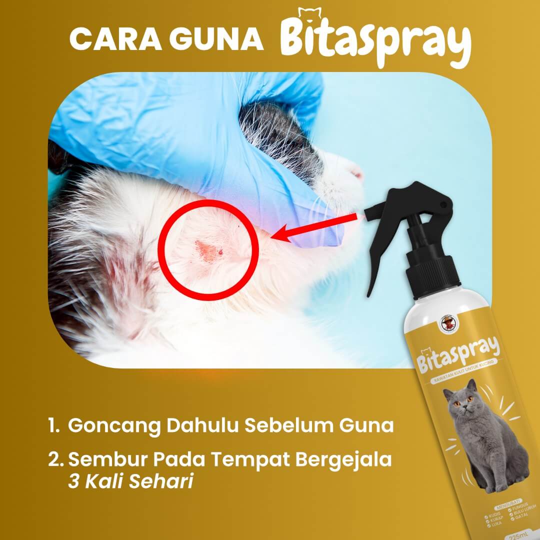Bitavit Plus – Bitacat HQ